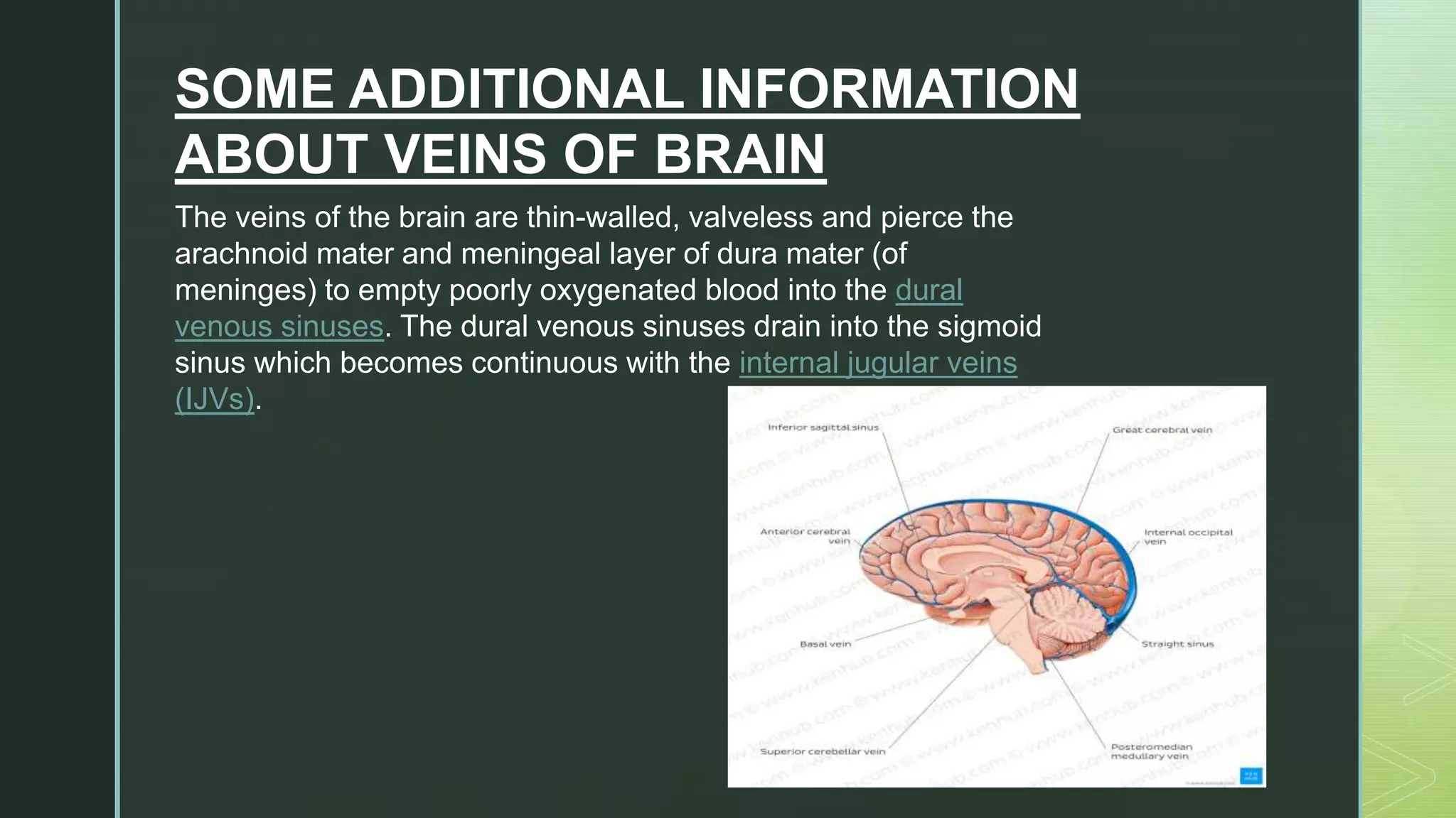 VEINS OF THE BRAIN.pptx