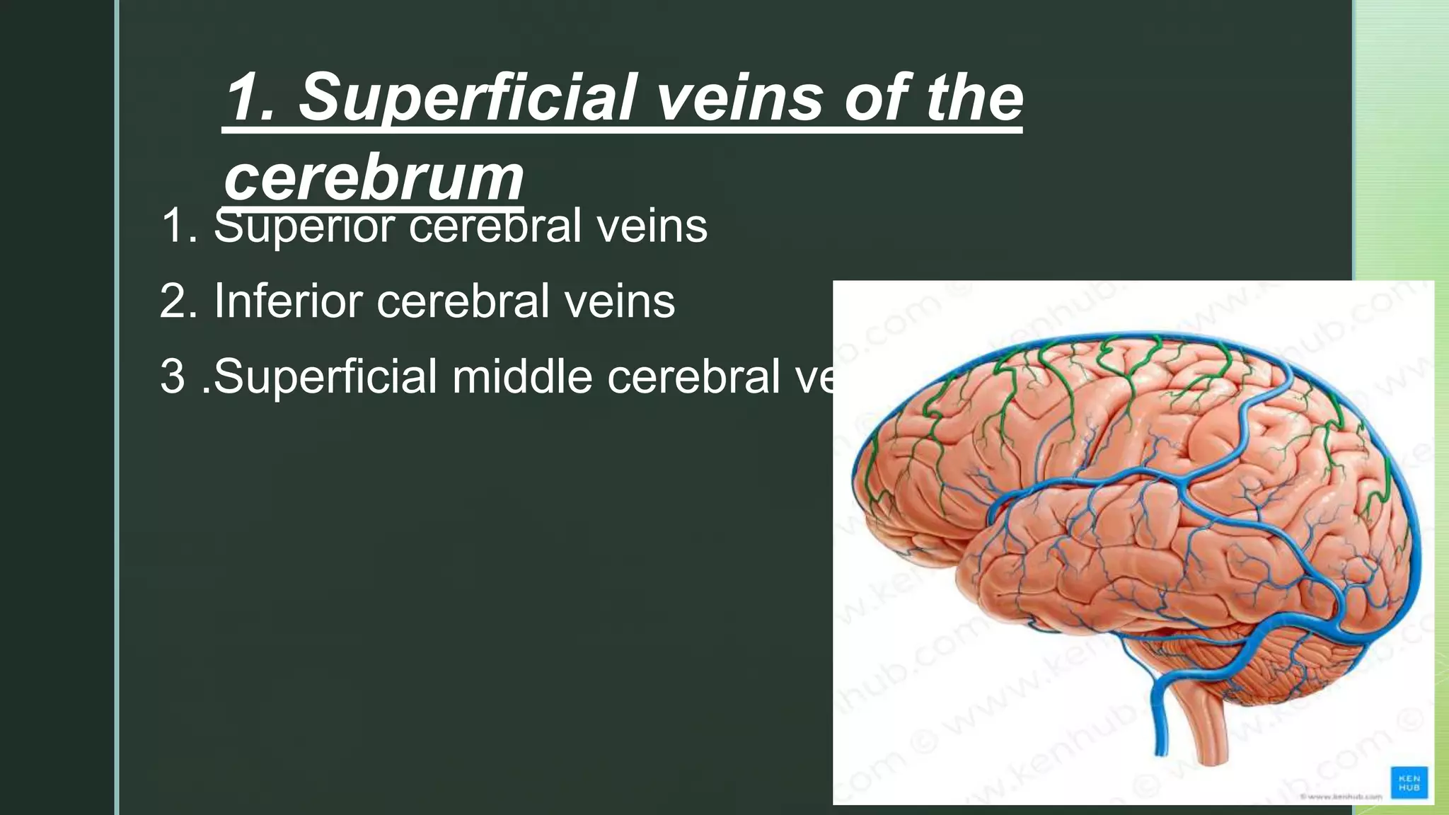 VEINS OF THE BRAIN.pptx