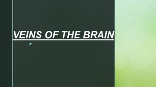 VEINS OF THE BRAIN.pptx