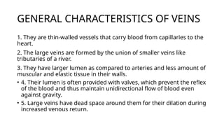 Ppts about veins in detail with diagrams | PPTX