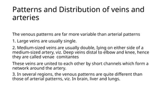 Ppts about veins in detail with diagrams | PPTX