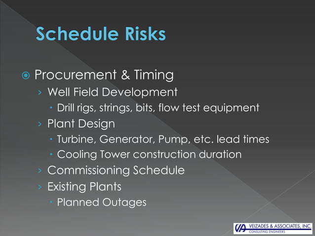 Project Management: Minimizing Risk and Maximizing Project Success | PDF