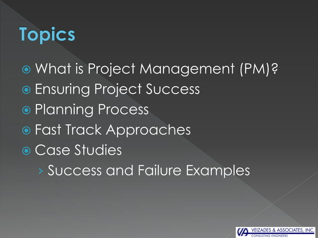 Project Management: Minimizing Risk and Maximizing Project Success | PDF