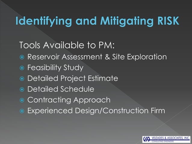 Project Management: Minimizing Risk and Maximizing Project Success | PDF