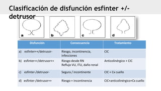 Vejiga Neurogenica.pptx