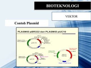 Vektor bioteknologi | PPTX