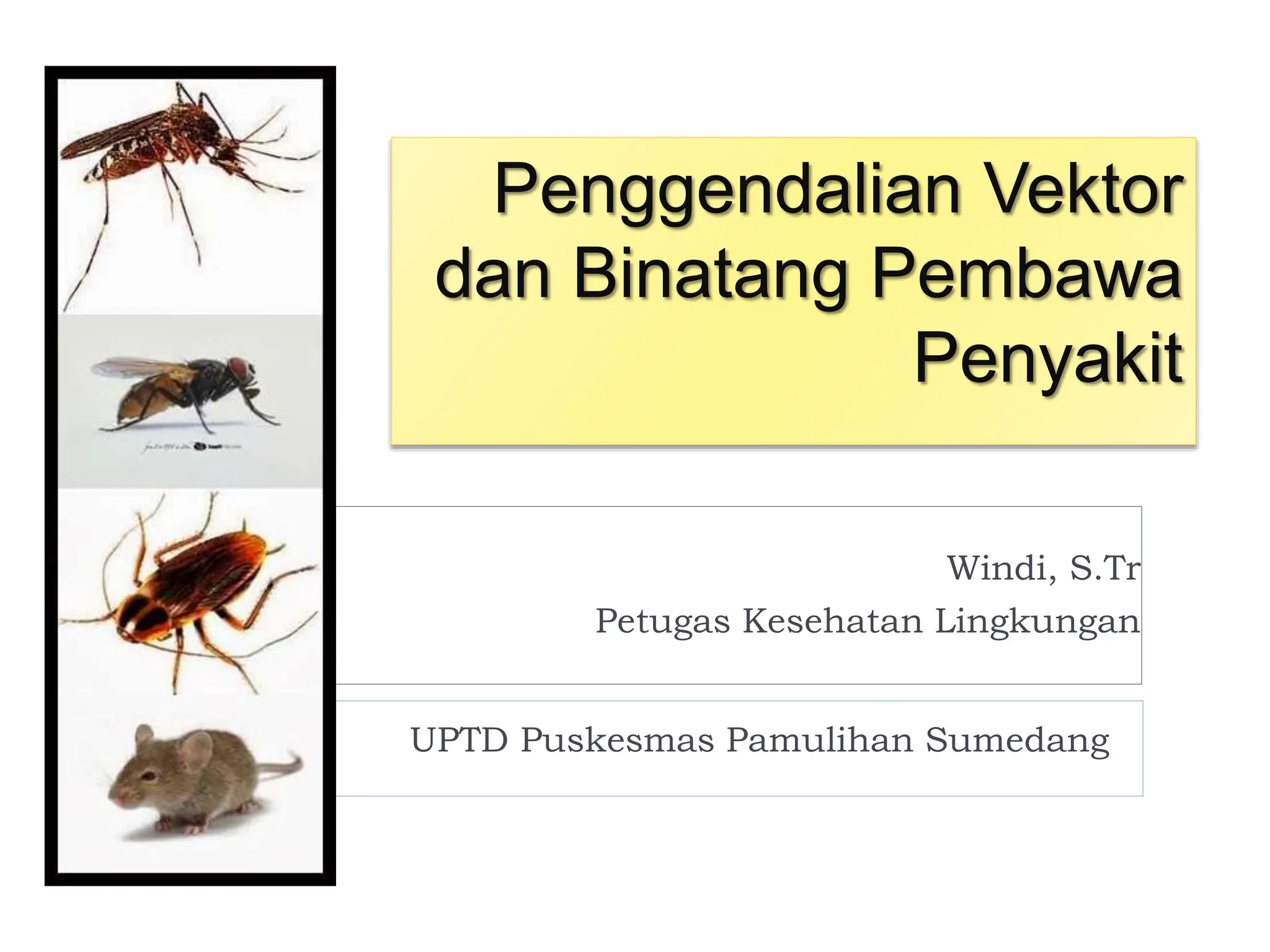 Vektor dan Binatang Pembawa Penyakit - Windi, S.Tr.pptx