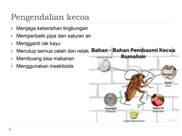 Vektor dan Binatang Pembawa Penyakit - Windi, S.Tr.pptx