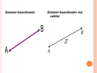 Vektoret-leonora thaqi | PPTX