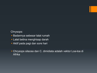 Vektor penyakit cacing (filariasis) | PPT