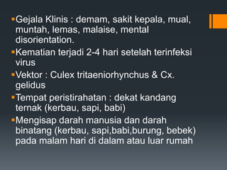 Vektor penyakit virus, riketsia, dan bakteri | PPTX