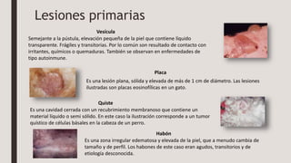 VelardeLitzi-LESIONES PRIMARIAS Y SECUNDARIAS.pptx