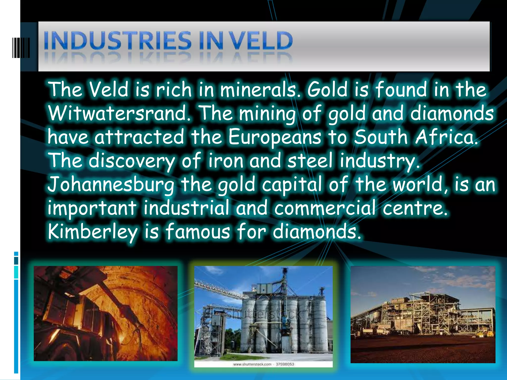 Veld | PPTX
