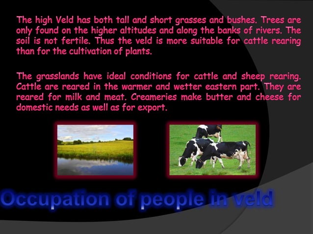 Veld | PPTX