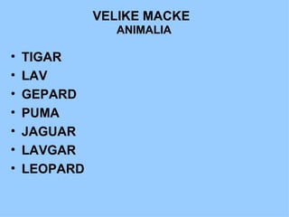 Velike mačke - Đorđe Živković - Radica Dimitrijević | PPT