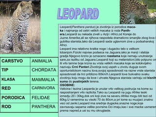 Velike mačke - Đorđe Živković - Radica Dimitrijević | PPT