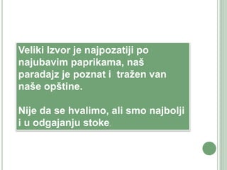 Veliki izvor | PPTX