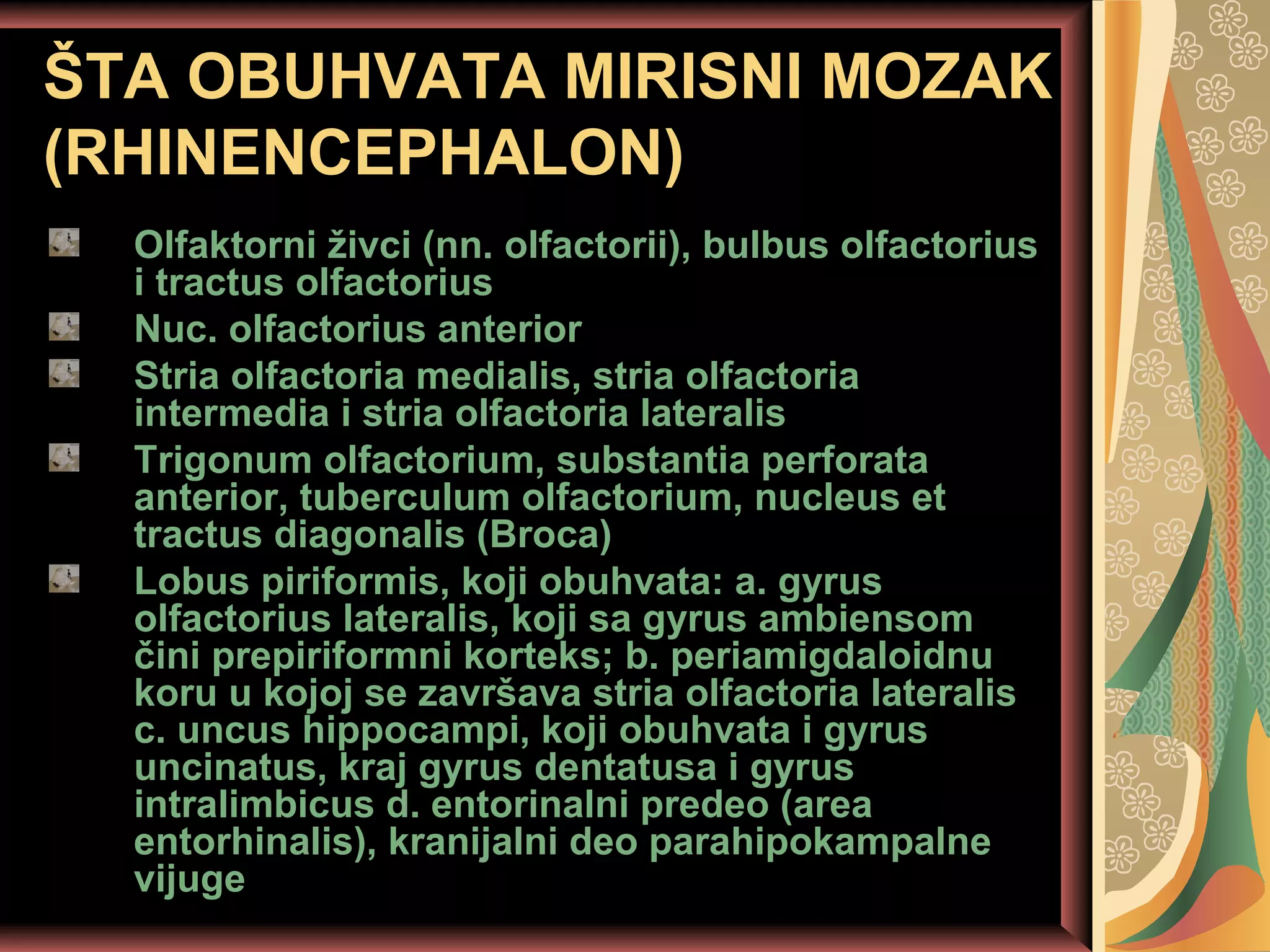 Anatomija- Veliki mozak | PPS