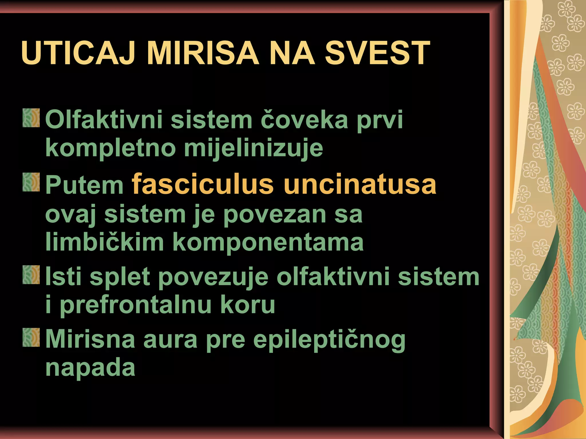 Anatomija- Veliki mozak | PPS