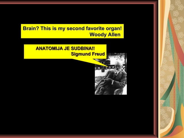 Anatomija- Veliki mozak | PPS