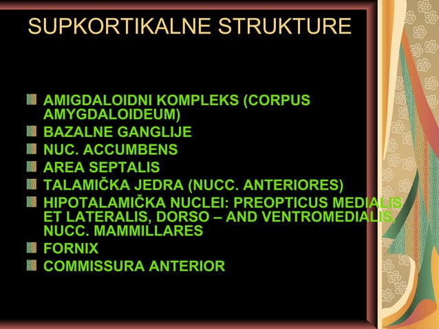 Anatomija- Veliki mozak | PPS