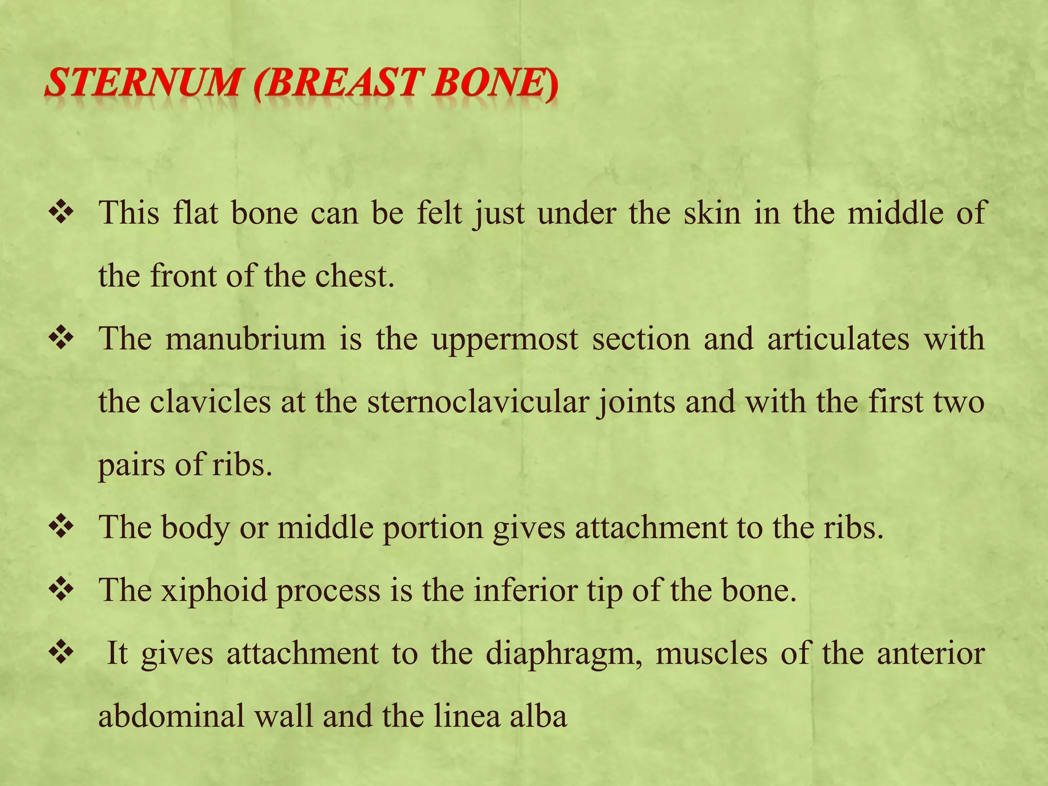 RIBS AND STERNUM RADIO-GRAPHIC PROJECTIONS | PPTX