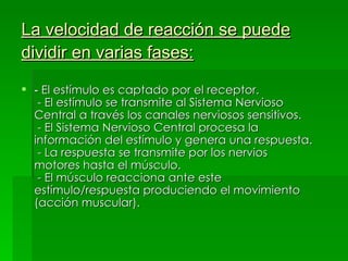 Velocidad De ReaccióN | PPT