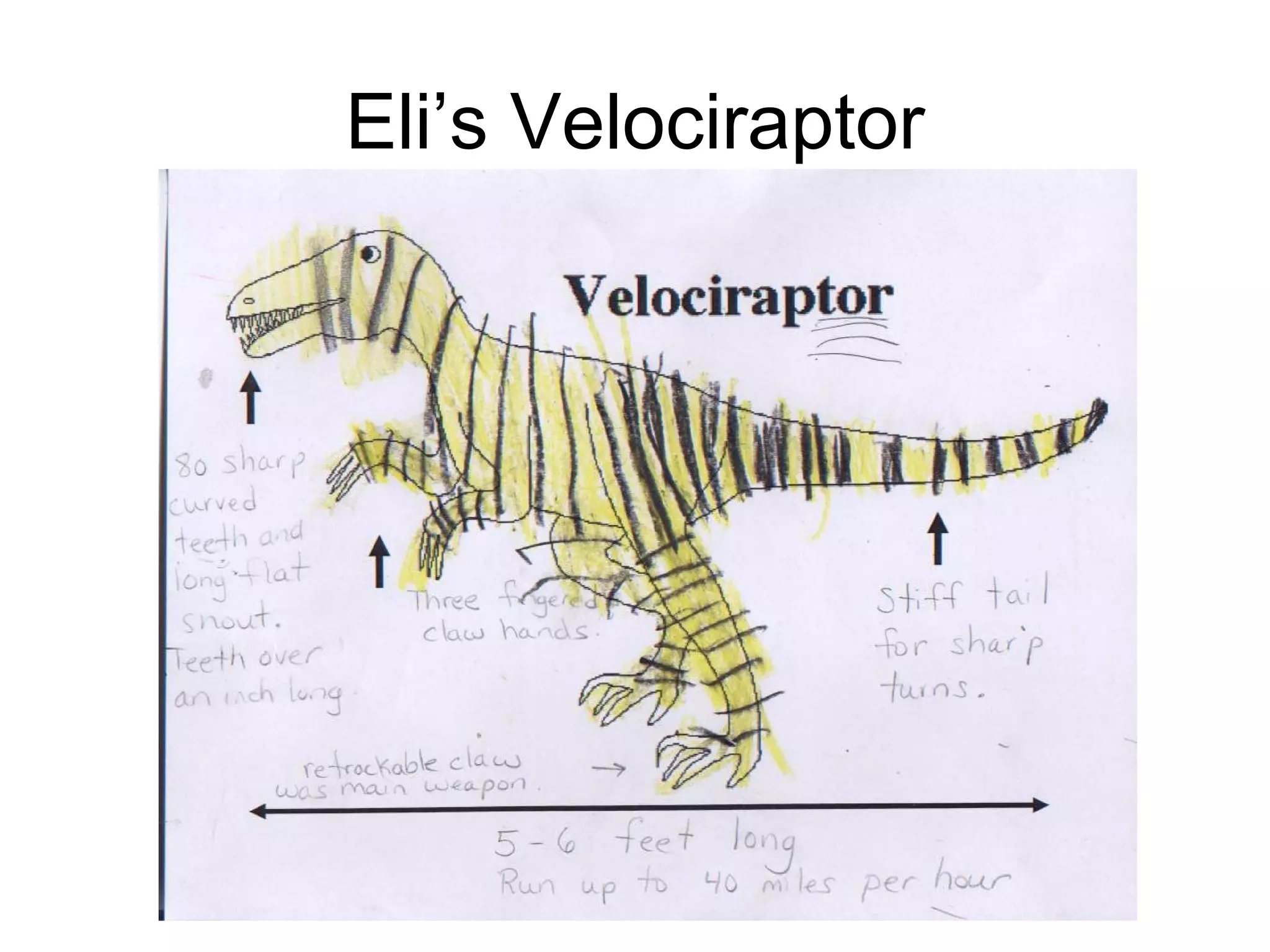 Velociraptor | PPT
