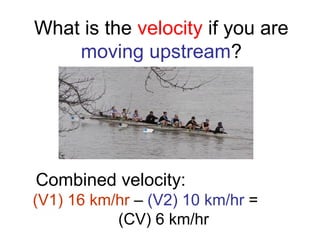 Velocity | PPT