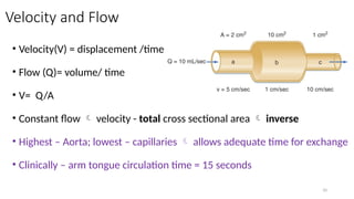 VELOCITY FLOW PRESSURE RELATIONSHIP IN CIRCULATION | PPTX