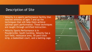 Velocity sports performance | PPT