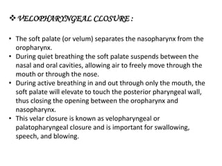 Velopharyngeal insufficiency parag | PPTX