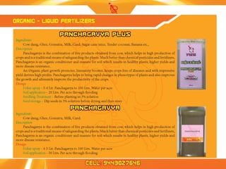 Vel Marketing & Sales | PDF