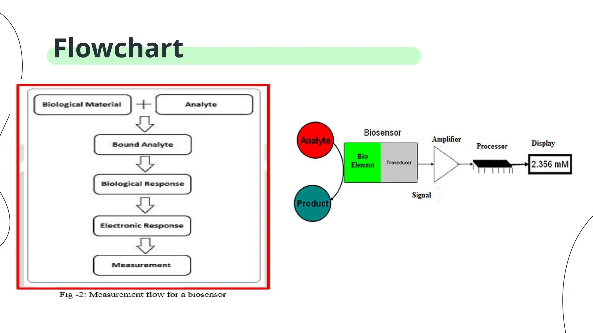 Graphene enhanced rapid pathogen detecting biosensor | PPT