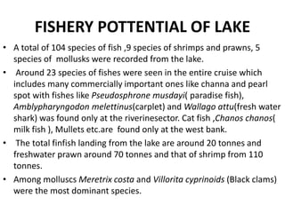 Fisheries inVembanadu kayal | PPTX | Fish and Aquariums | Pets