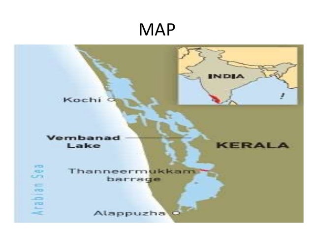 Fisheries inVembanadu kayal