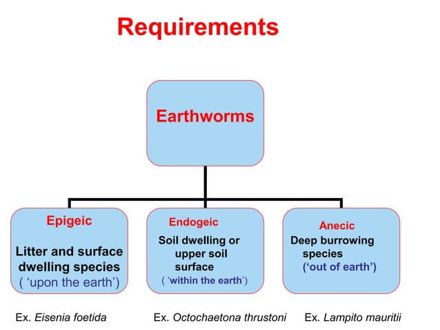 vemicompost final rlo.ppt