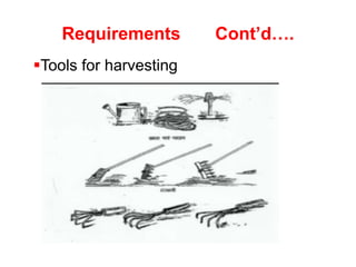 vemicompost final rlo.ppt.ppt | Free Download