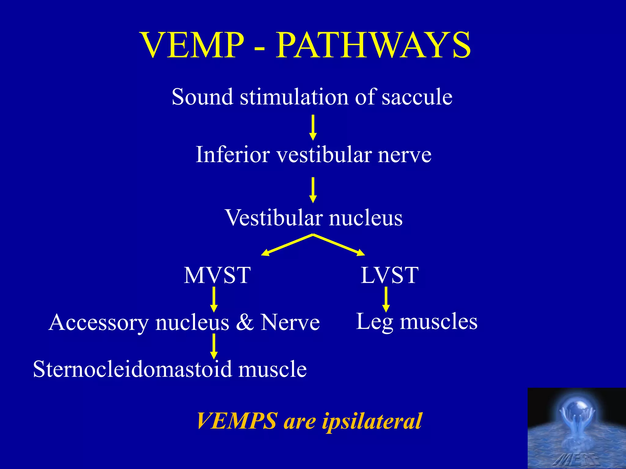 VEMP | PDF