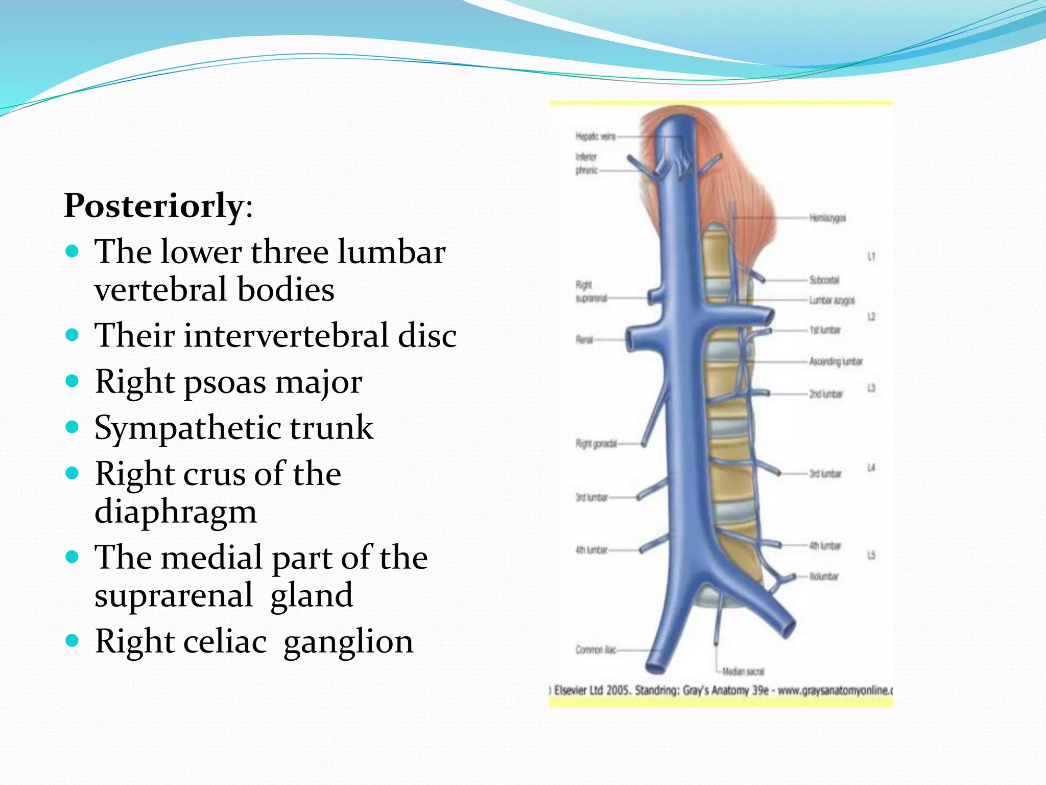 Vena cava anatomy and variants | PPTX