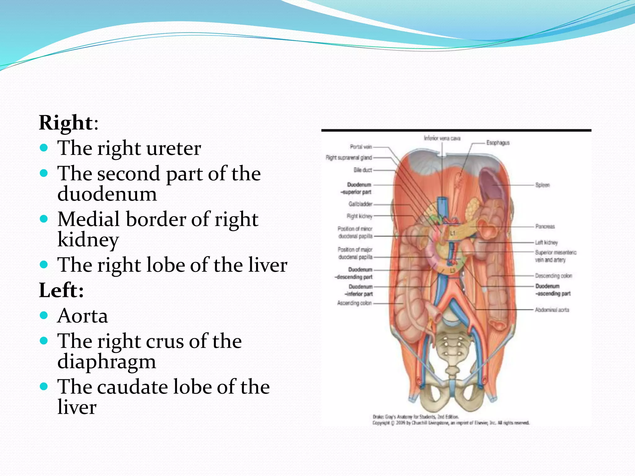 Vena cava anatomy and variants | PPTX