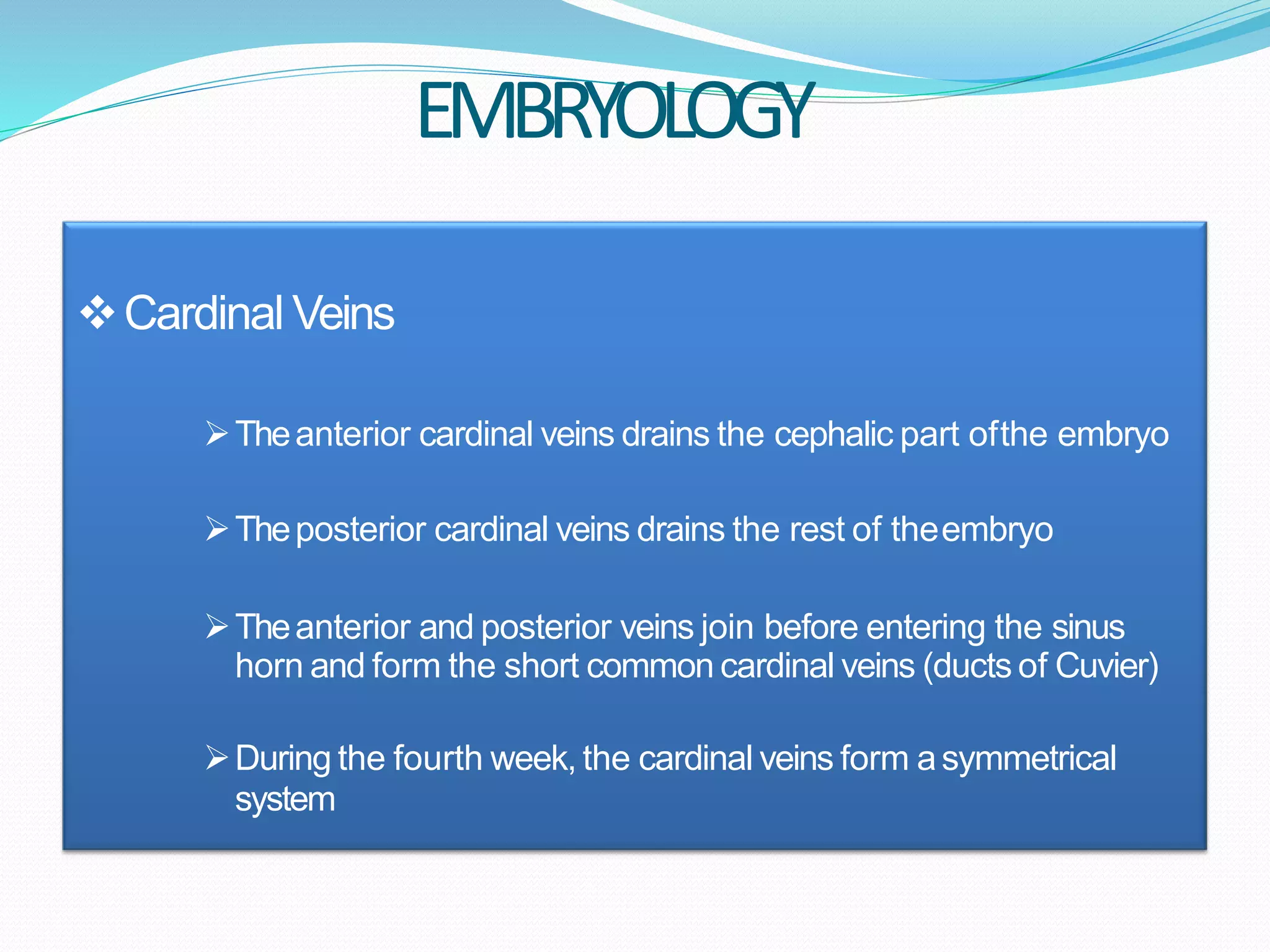 Vena cava anatomy and variants | PPTX
