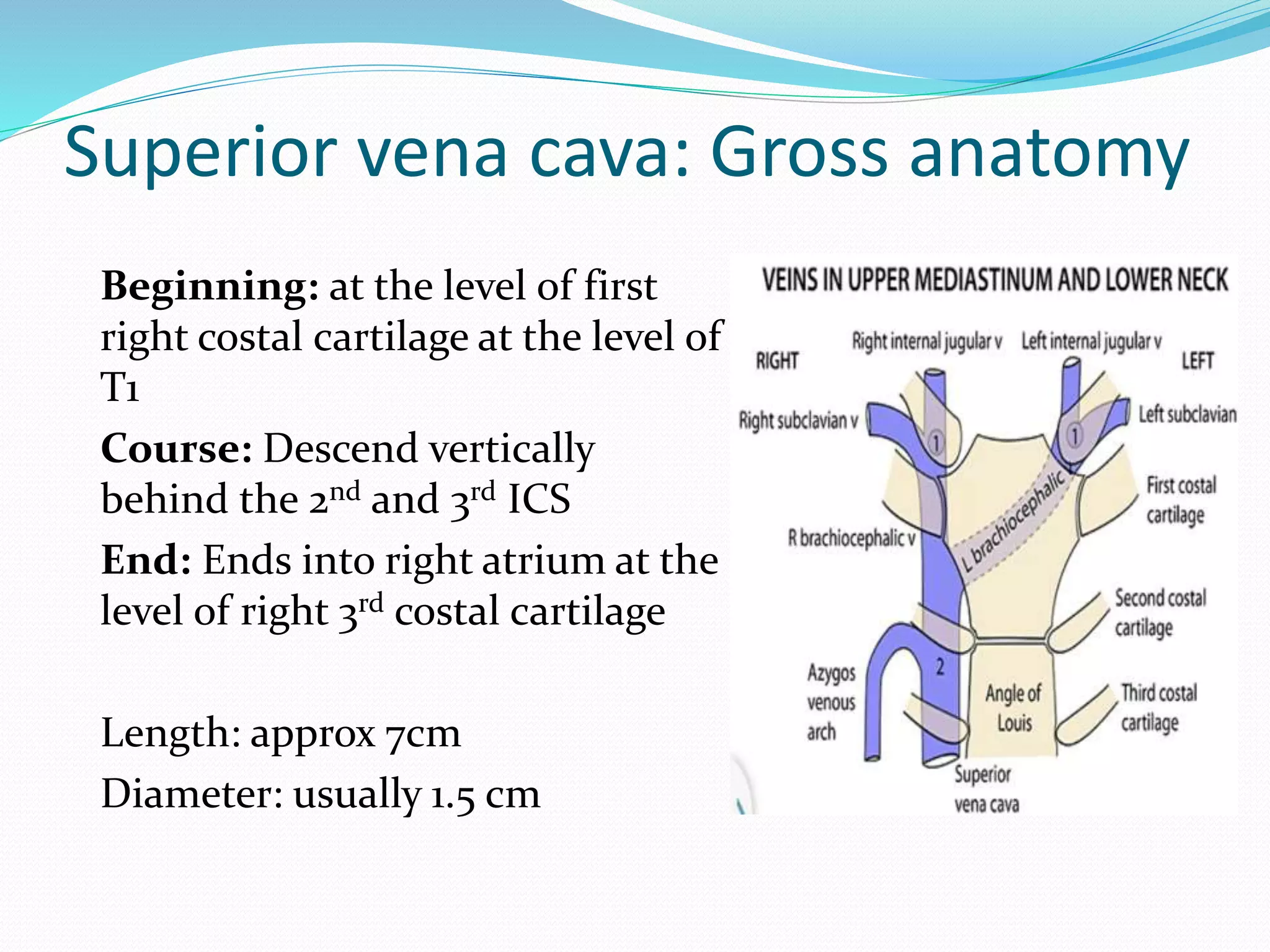 Vena cava anatomy and variants | PPTX