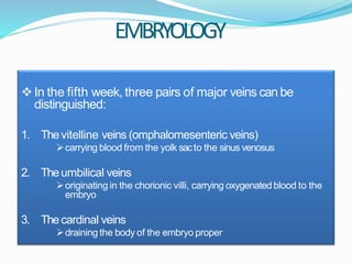 Vena cava anatomy and variants | PPTX
