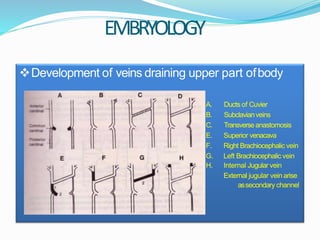Vena cava anatomy and variants | PPTX