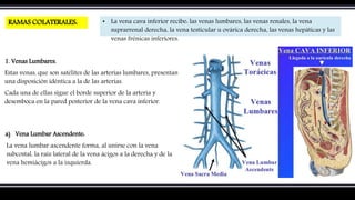 Vena cava inferior | PPTX
