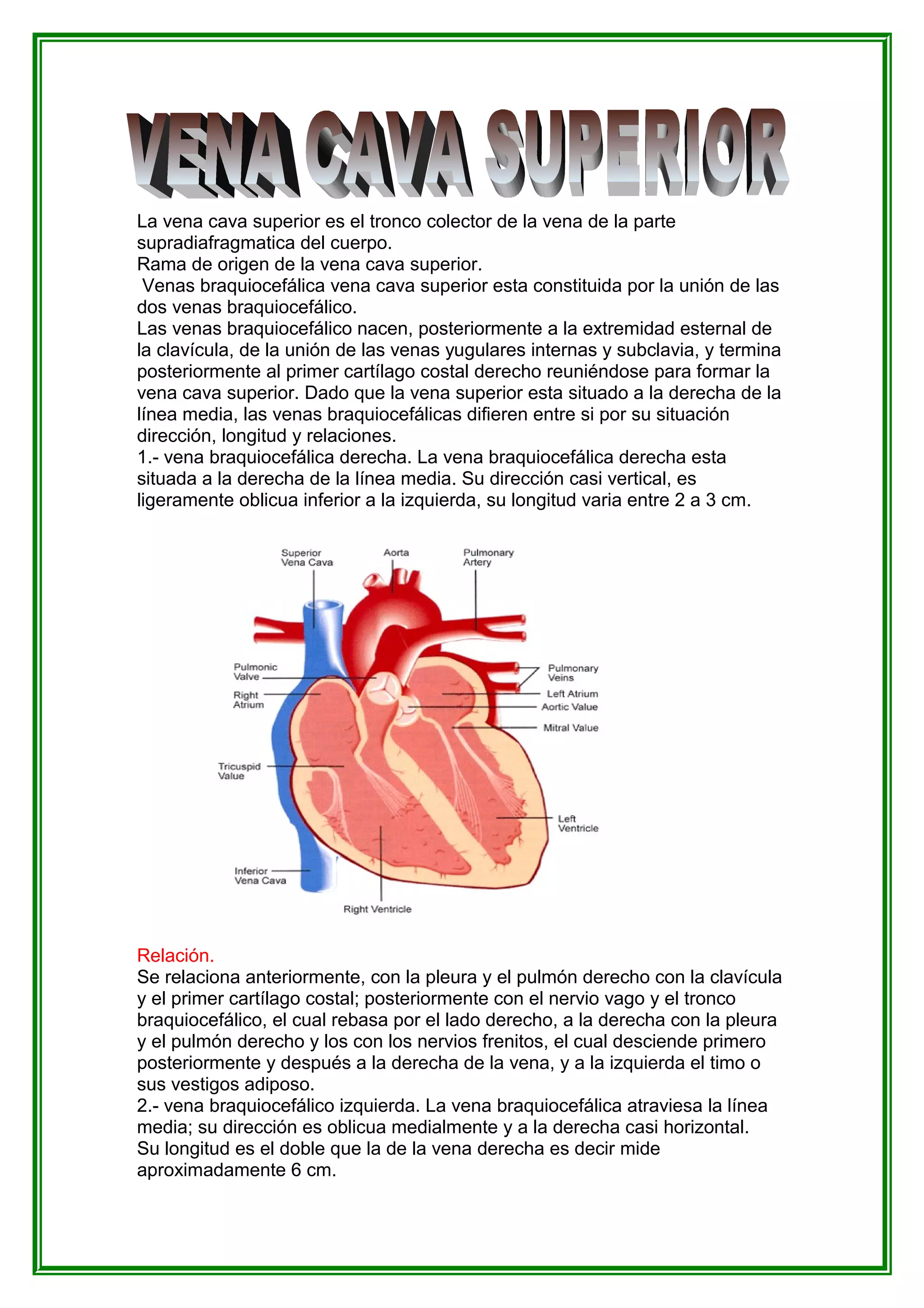 Vena cava superior | DOC