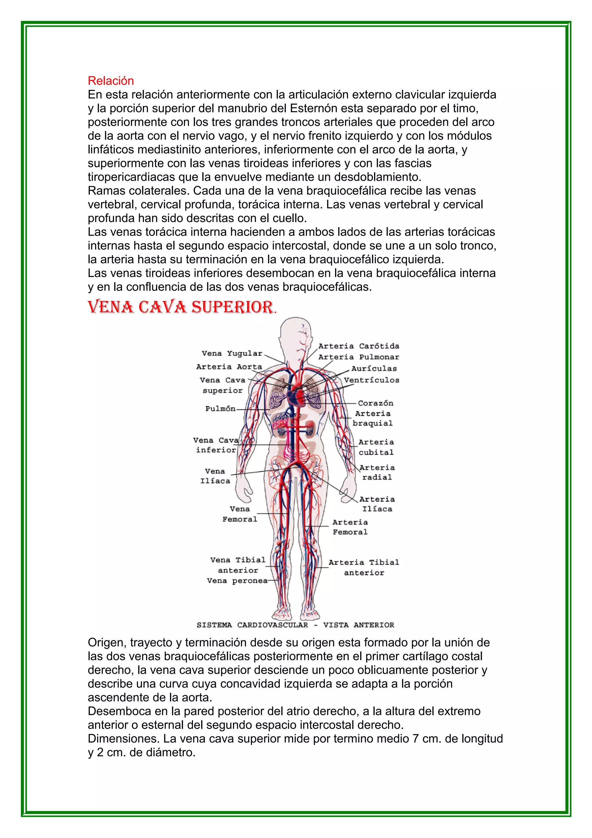 Vena cava superior | DOC