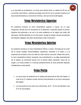 Venas (anatomía) - Reporte | PDF