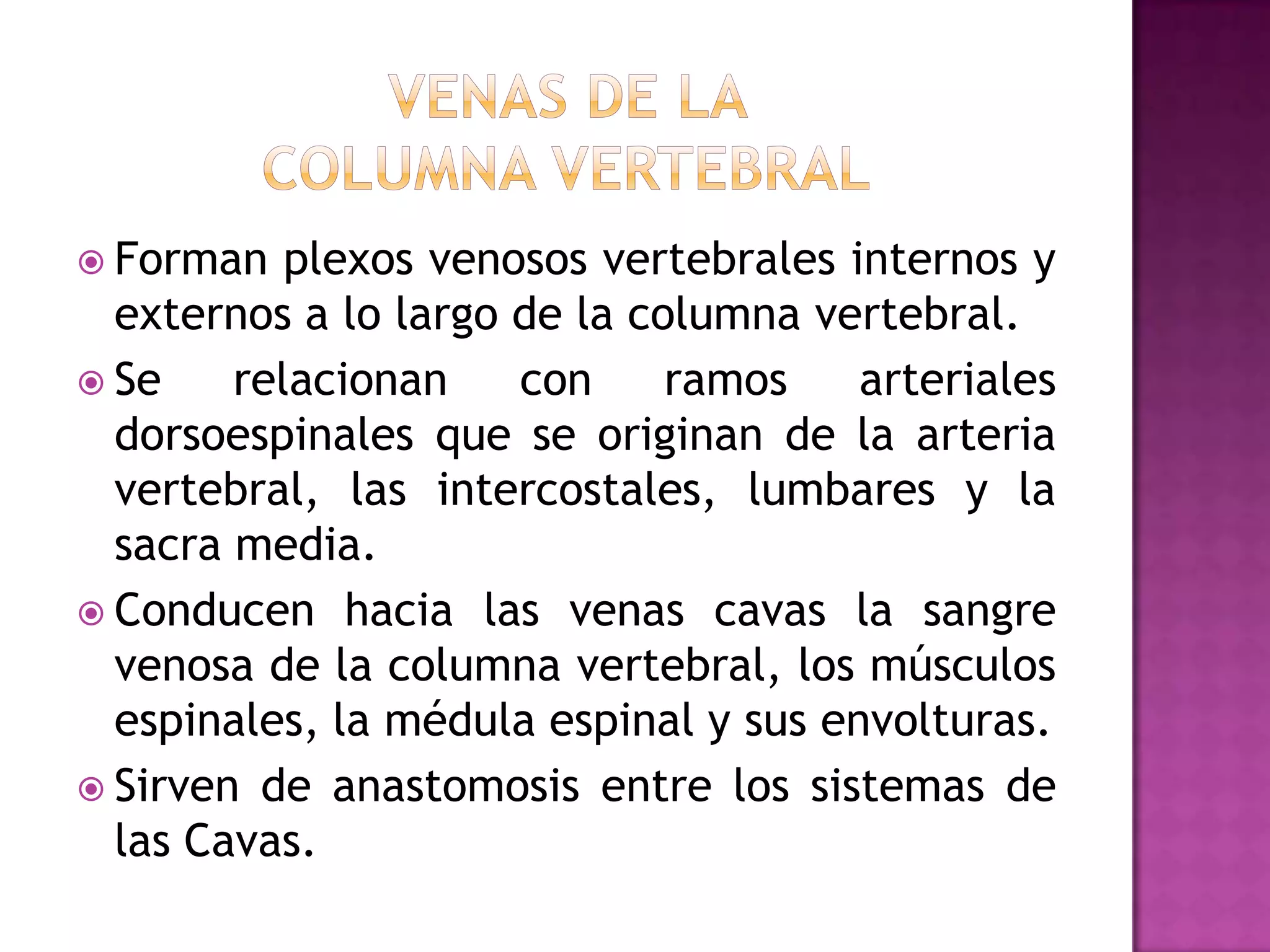 Venas de la columna vertebral | PPTX
